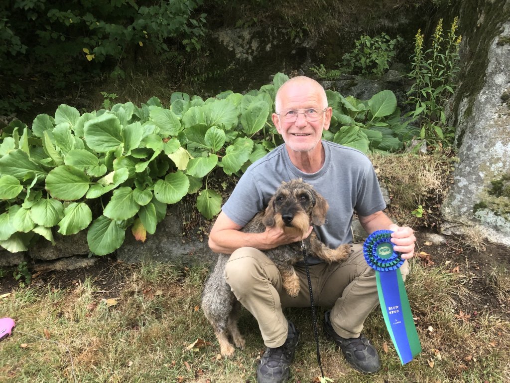Etter utstillingen til NKK i Bø kan nå Per Jacobsens Cooper av Bjerkebo ...