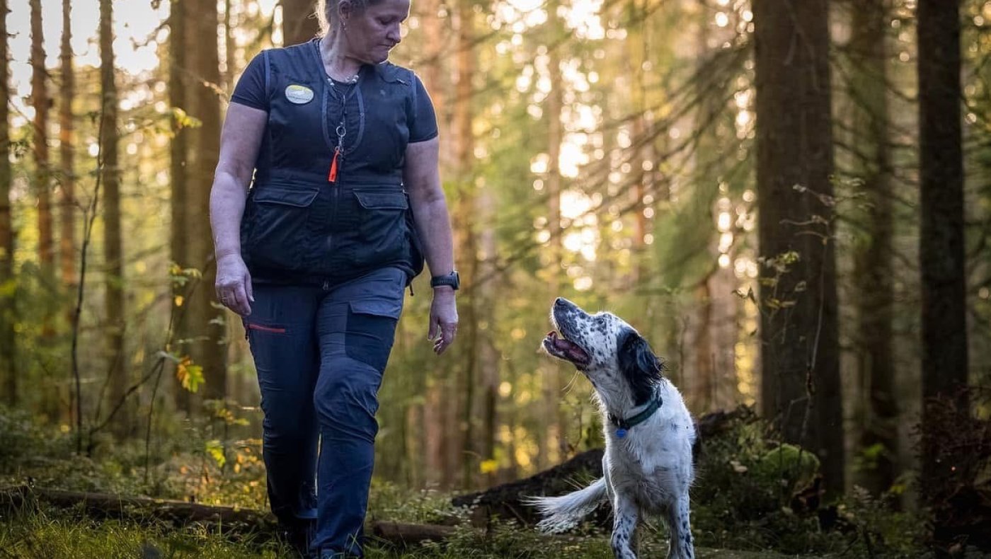 Uformell dressurtrening på Durud! - 12-02-2025 - Enebakk JFF