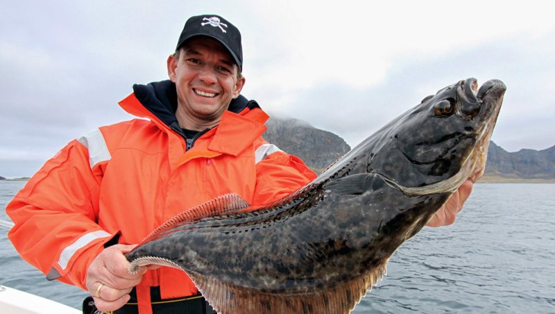 Fiske, kveite, NJFF - NJFF