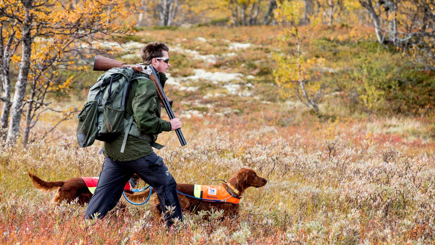 Hvordan finne jaktterreng - NJFF