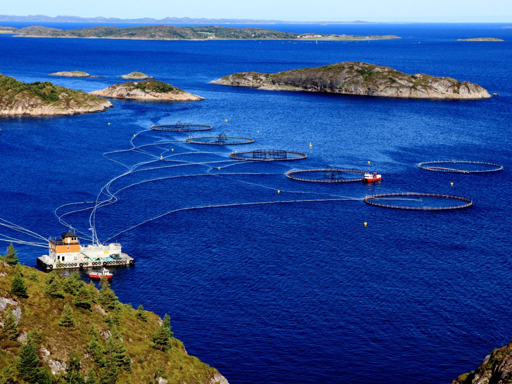 Ja til oppdrettskrav - NJFF