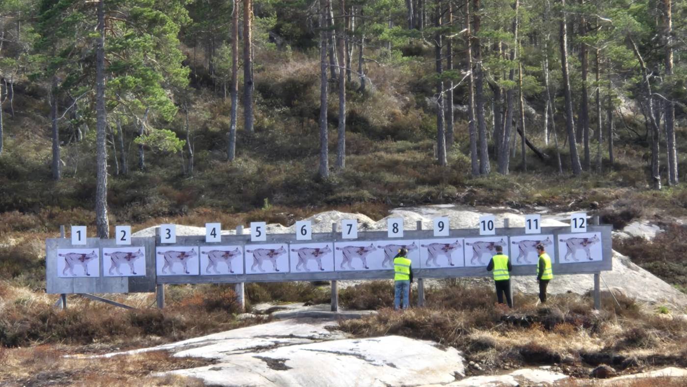 Trening jaktfeltskyting og Jaktskytterskole - 17-01-2026 - Gjerstad JFF