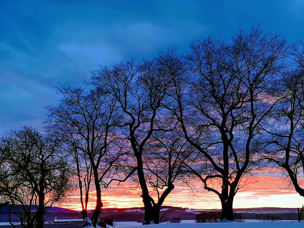 2023 -> 2024 - NJFF Buskerud