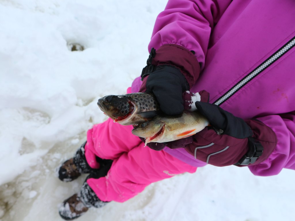 NM og RM ISFISKE 2024 - NJFF Buskerud