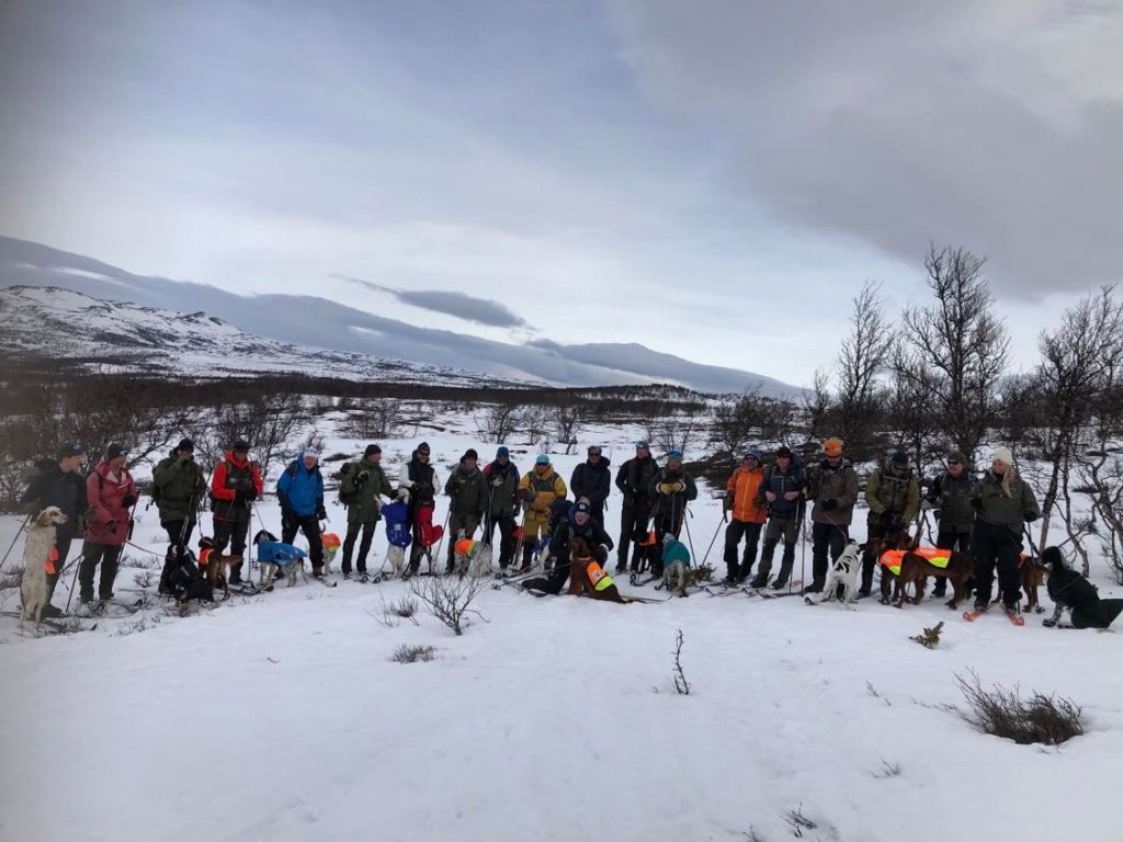 BJFF GEILOPRØVEN 2023 - Buskeruds JFF