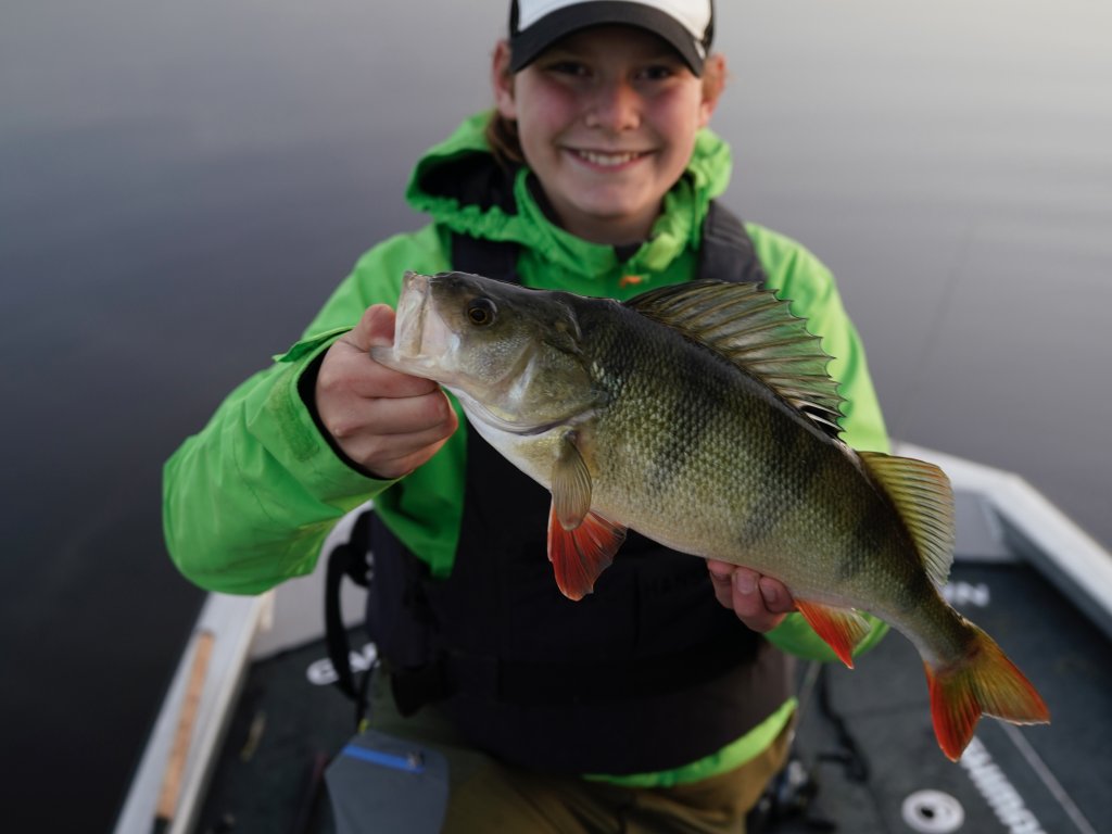 Effektive sommerteknikker for storabbor - NJFF
