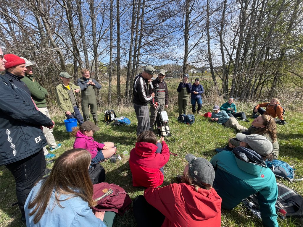 Vil du jobbe med vannforvaltning og sjøørretbekker? - NJFF