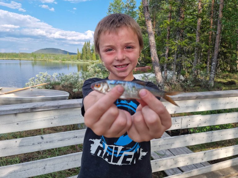 Fiskesommer - Jordet JFF