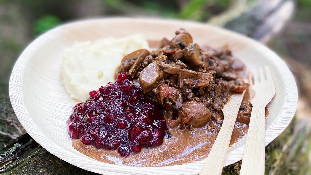 Finnbiff på primusen - NJFF