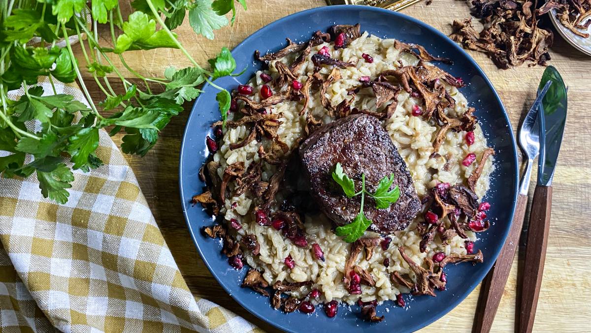 Oppskrifter med hjort - NJFF