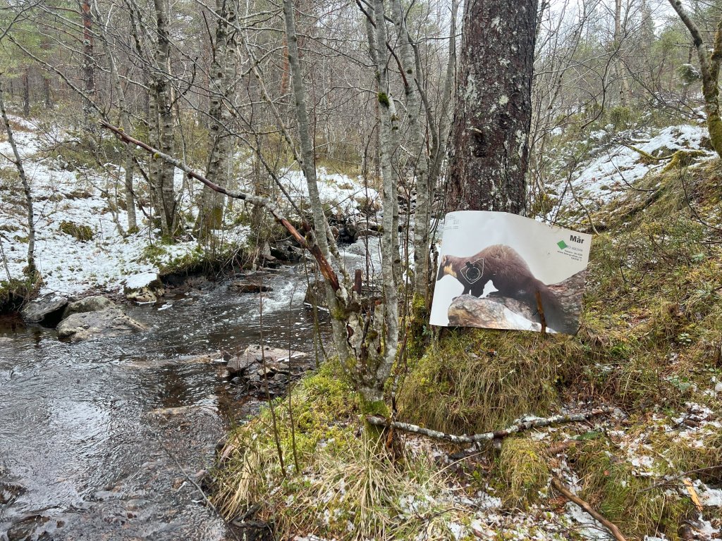 Vi var på tillitsvalgtsmøte - Aure Jeger- og Fiskerforening