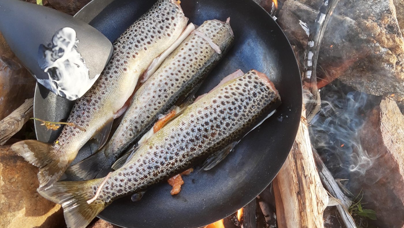 Fiskesommer 1 - Namsskogan JFF
