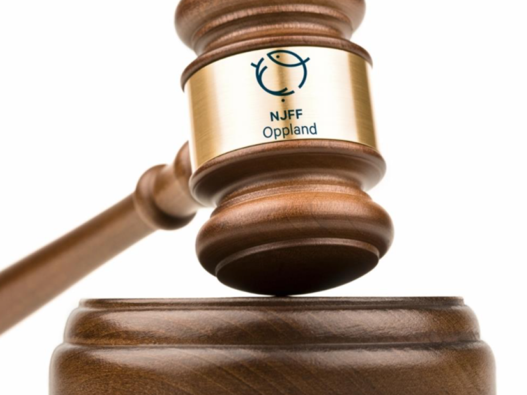 Saksdokumenter og årsberetning NJFF Oppland - NJFF Oppland