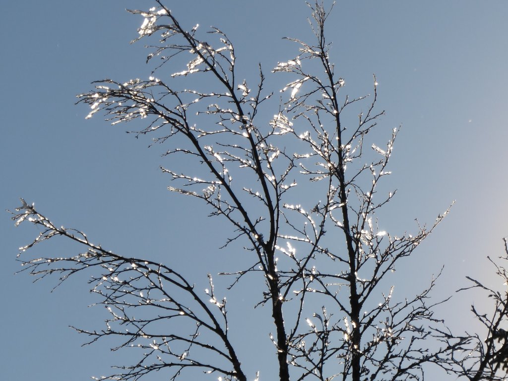 ÅRSMØTE - Lillehammer JFF