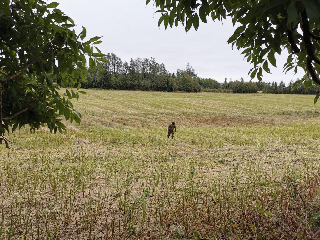 Blodsporkurs 22.-24.april 2025. Passer for alle hunderaser ...