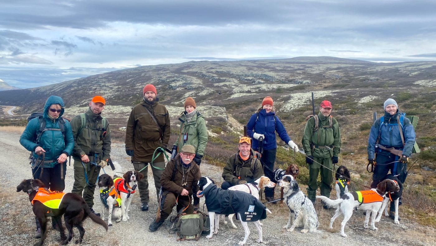 Fine dager i fjellet på rypejakt og trening i Sollia - Solemskogen JFF