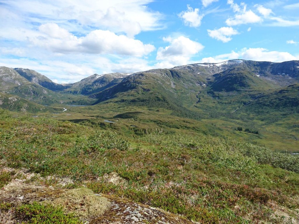 FJFF stenger småviltjakta på Nes 2022, og vinter 2023. - Flora JFF