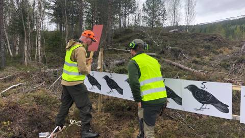 Jens J.Nygårds minnestevne 2026 - Ålen JFF