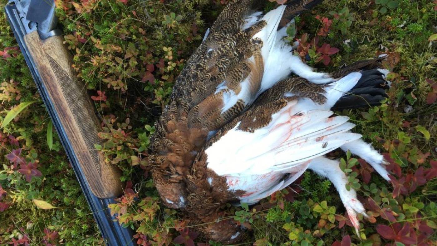 Jegerprøvekurs Mars 2026 Bardu JFF - Bardu JFF